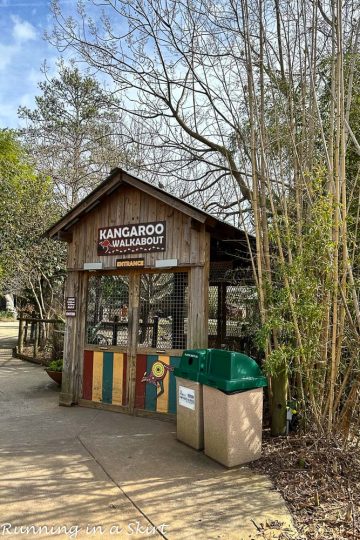 Riverbanks Zoo Travel Guide - What to See & Do « Running in a Skirt