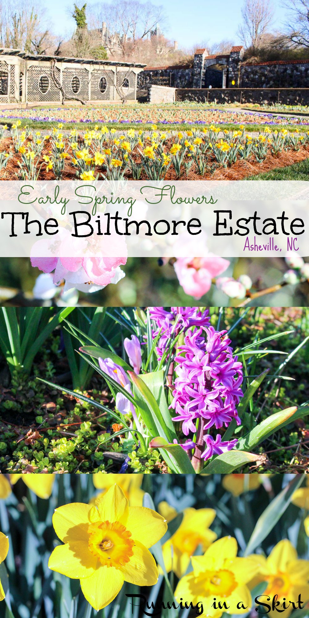 Early Spring Flowers at the Biltmore Estate « Running in a Skirt