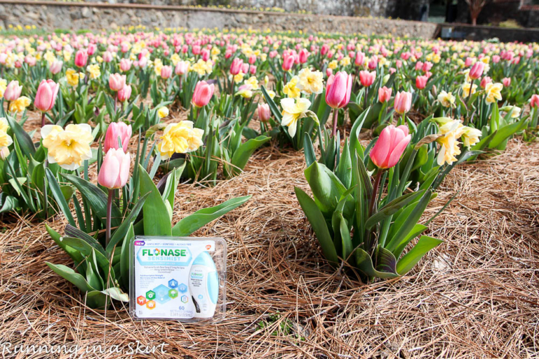 5 Essentials for a Healthy Spring