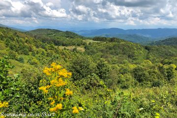 Max Patch Hike - Easy Hike with 360 Degree Views! « Running in a Skirt