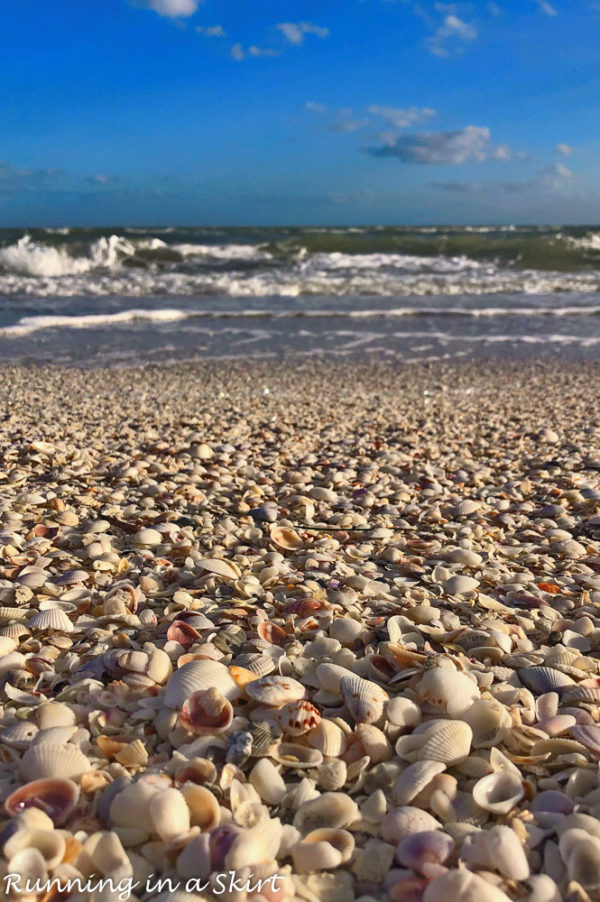 The Best Things to Do in Sanibel Island « Running in a Skirt
