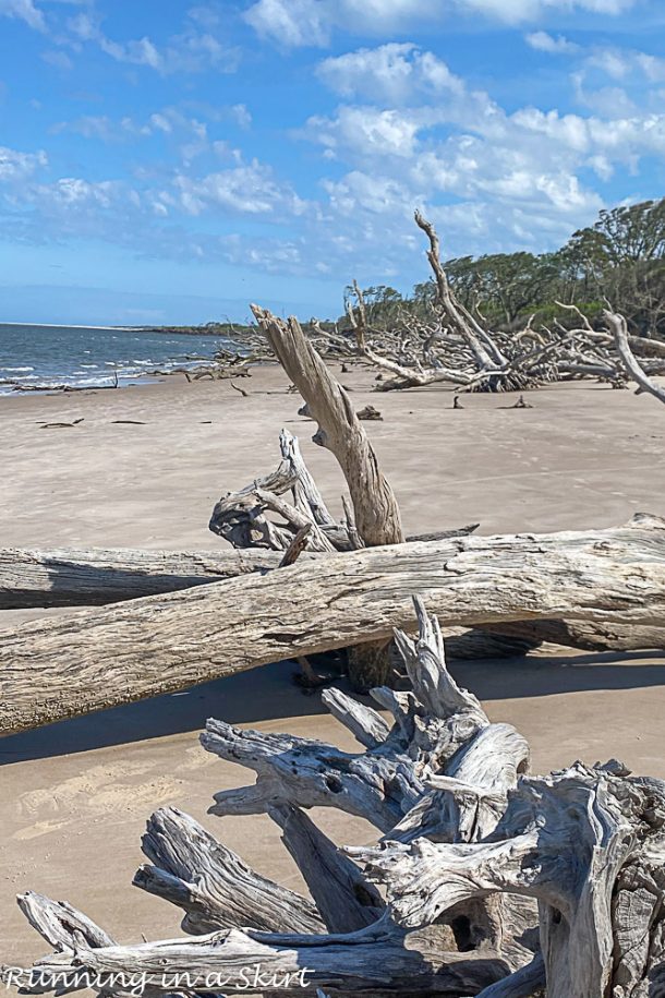 Boneyard Beach Florida - Big Talbot Island State Park « Running in a Skirt