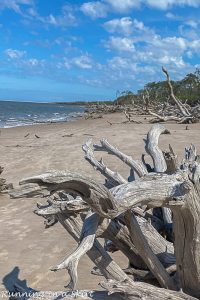 Boneyard Beach Florida - Big Talbot Island State Park « Running in a Skirt