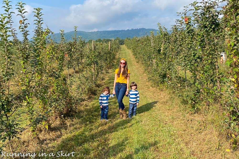 Weekly Happenings - Apple Farm, Date Night & Preschool Update « Running ...