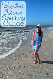 Sanibel Island Shells & Shelling Guide « Running in a Skirt