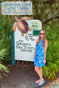 Georgia Sea Turtle Center Jekyll Island Visitors Guide « Running in a Skirt
