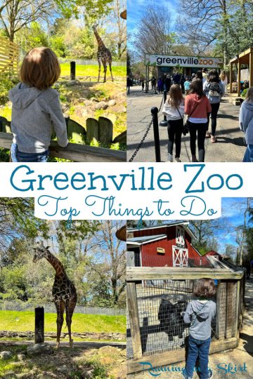 Greenville SC Zoo Visitor's Guide « Running in a Skirt