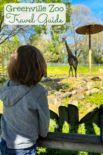 Greenville SC Zoo Visitor's Guide « Running in a Skirt