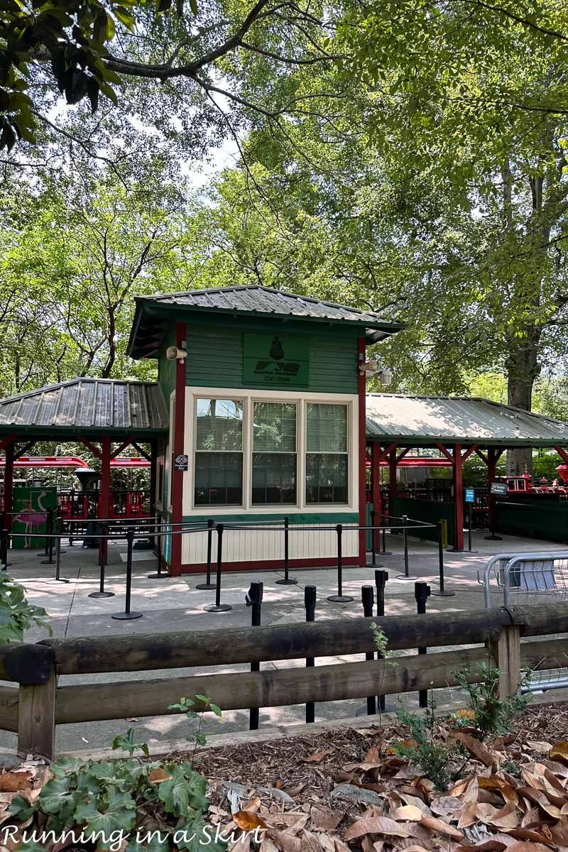 Atlanta Zoo - Review & Can't Miss Attractions « Running in a Skirt
