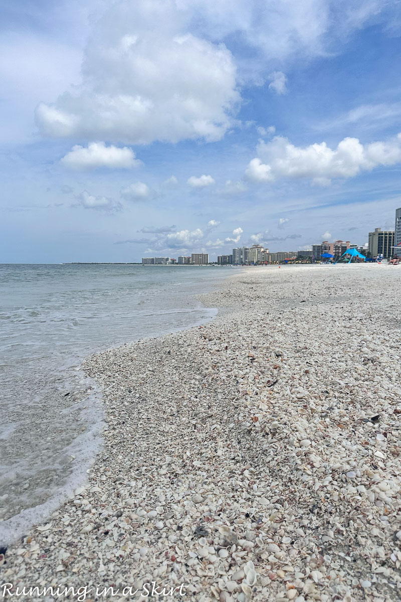 Marco Island Shelling Guide: Tips & Tricks to Find the Best Ones ...