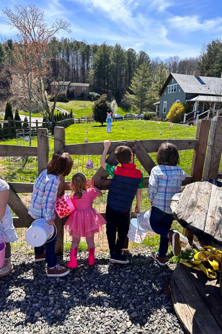 Weekly Happenings - Easter at the Farm & Graduation School Photos ...