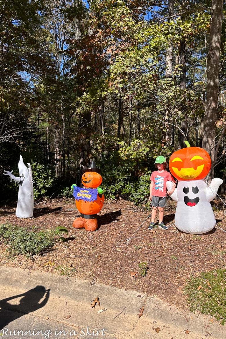 Weekly Happenings- Halloween Inflatables, All the Sticks & Finding ...